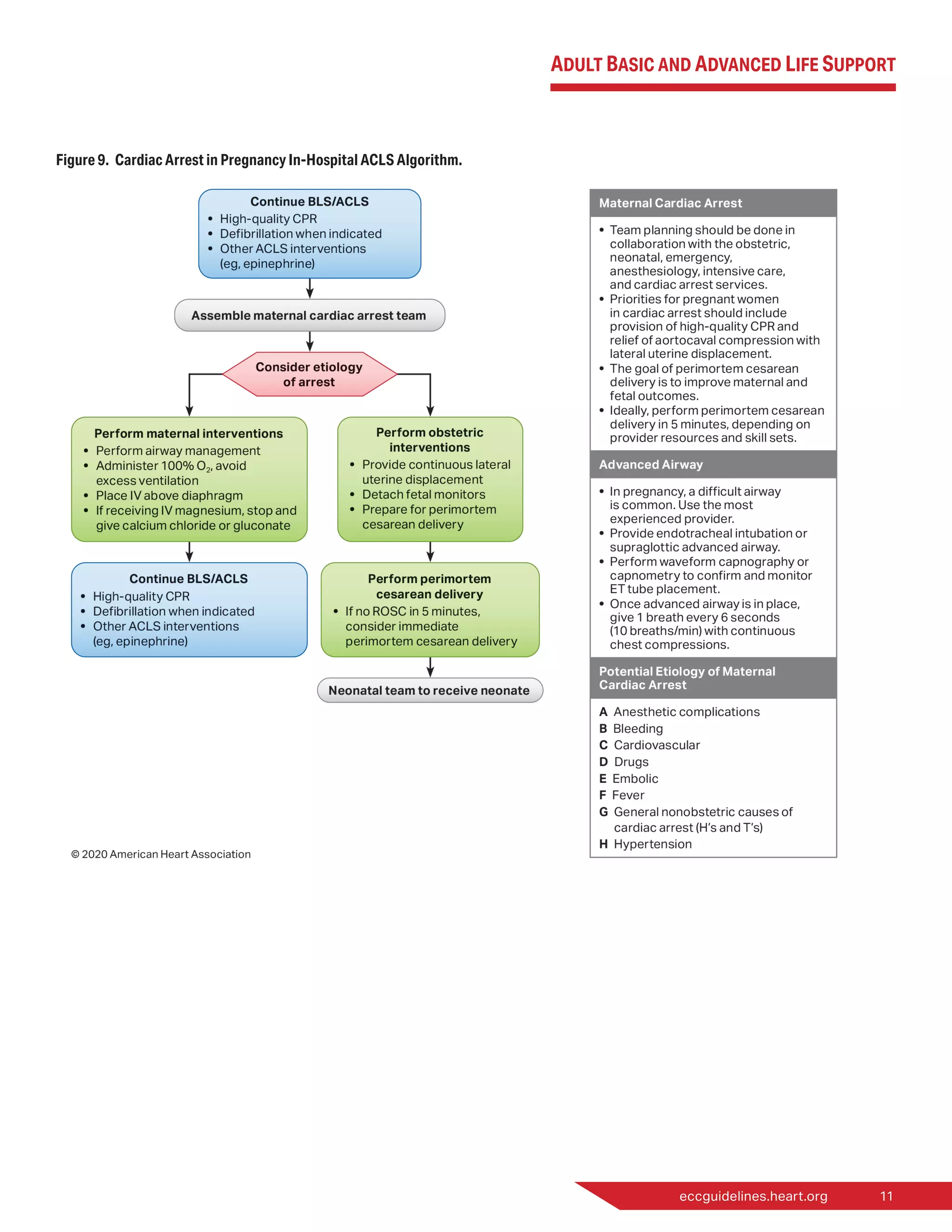 AHA ACLS BLS CPR Guideline 2020 | PDF