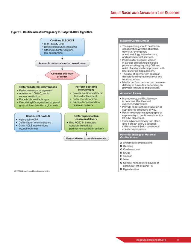AHA ACLS BLS CPR Guideline 2020 | PDF | First Aid | Injuries