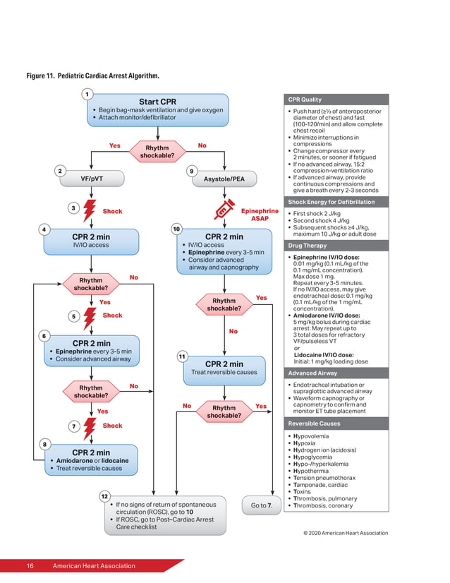 AHA ACLS BLS CPR Guideline 2020 | PDF | First Aid | Injuries