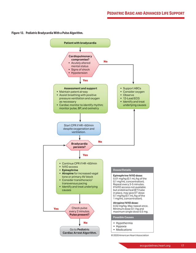 AHA ACLS BLS CPR Guideline 2020 | PDF | First Aid | Injuries