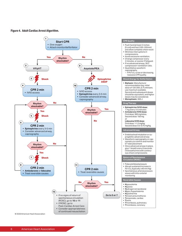 AHA ACLS BLS CPR Guideline 2020 | PDF | First Aid | Injuries