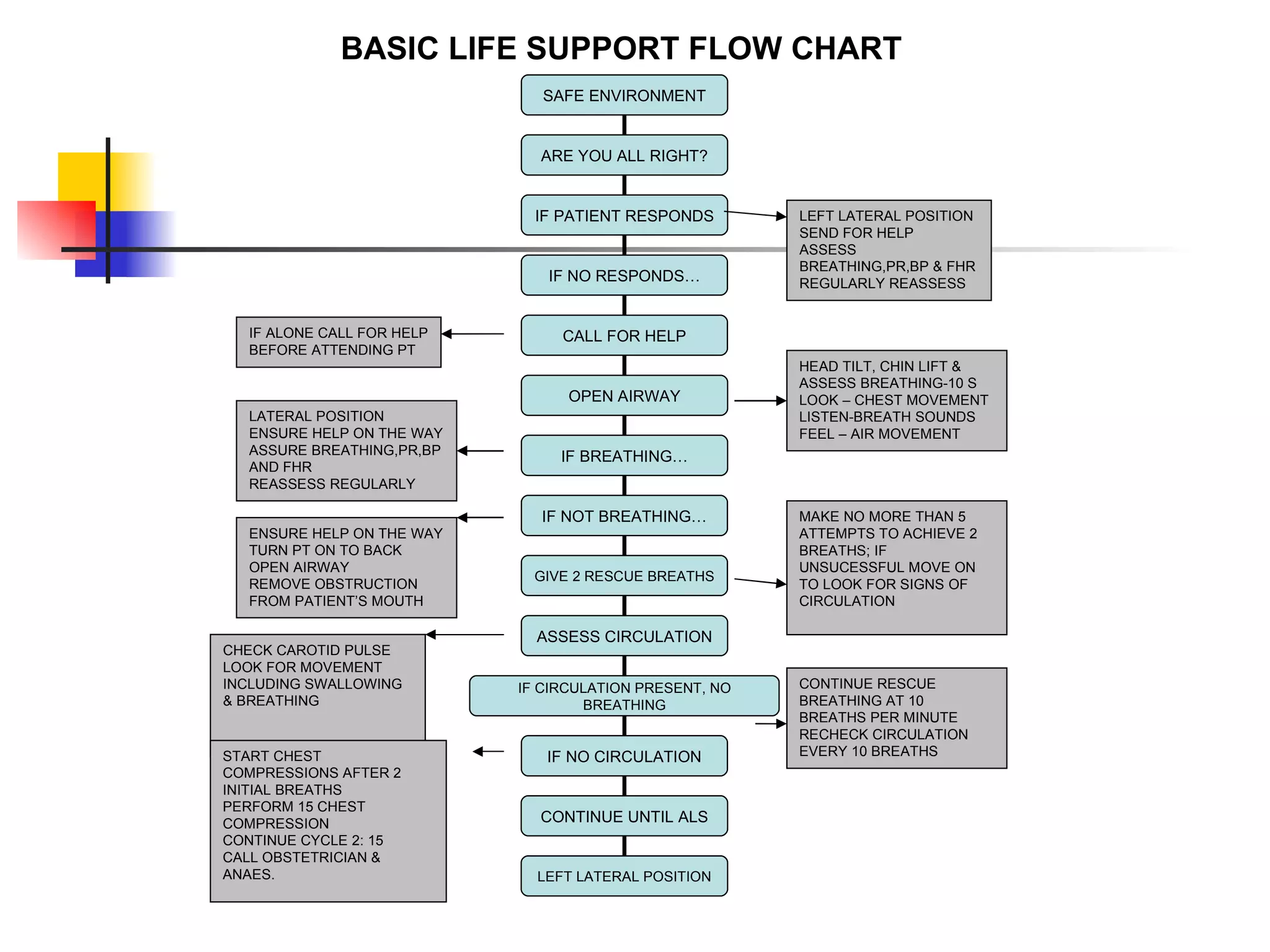 CPR in Pregnant Patients | PPT