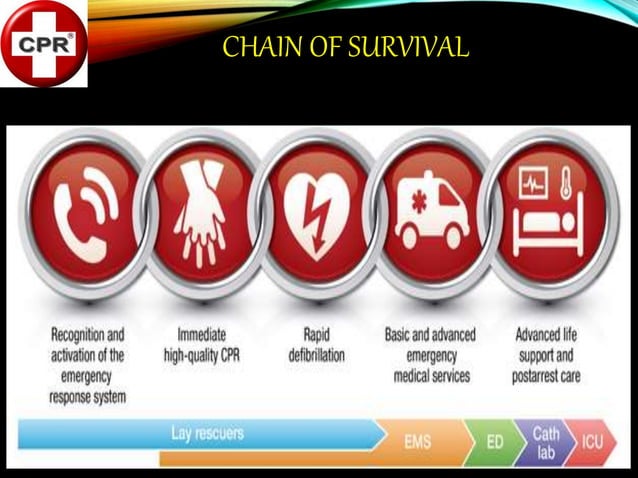 Cardiopulmonary Resuscitation (CPR) | PPT