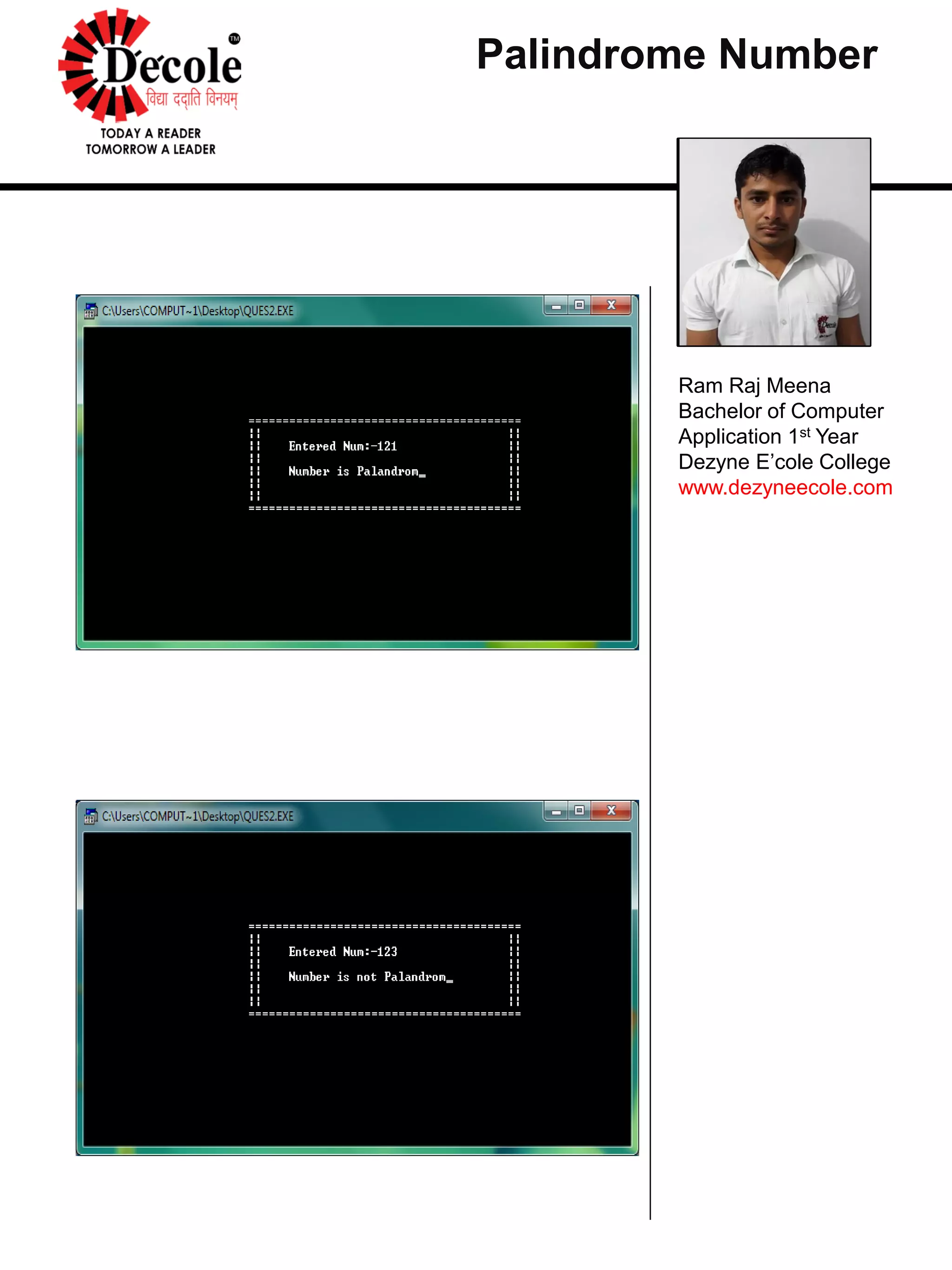 Ram Raj Meena C programming copy | PDF