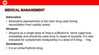CPR Template lab.pptx