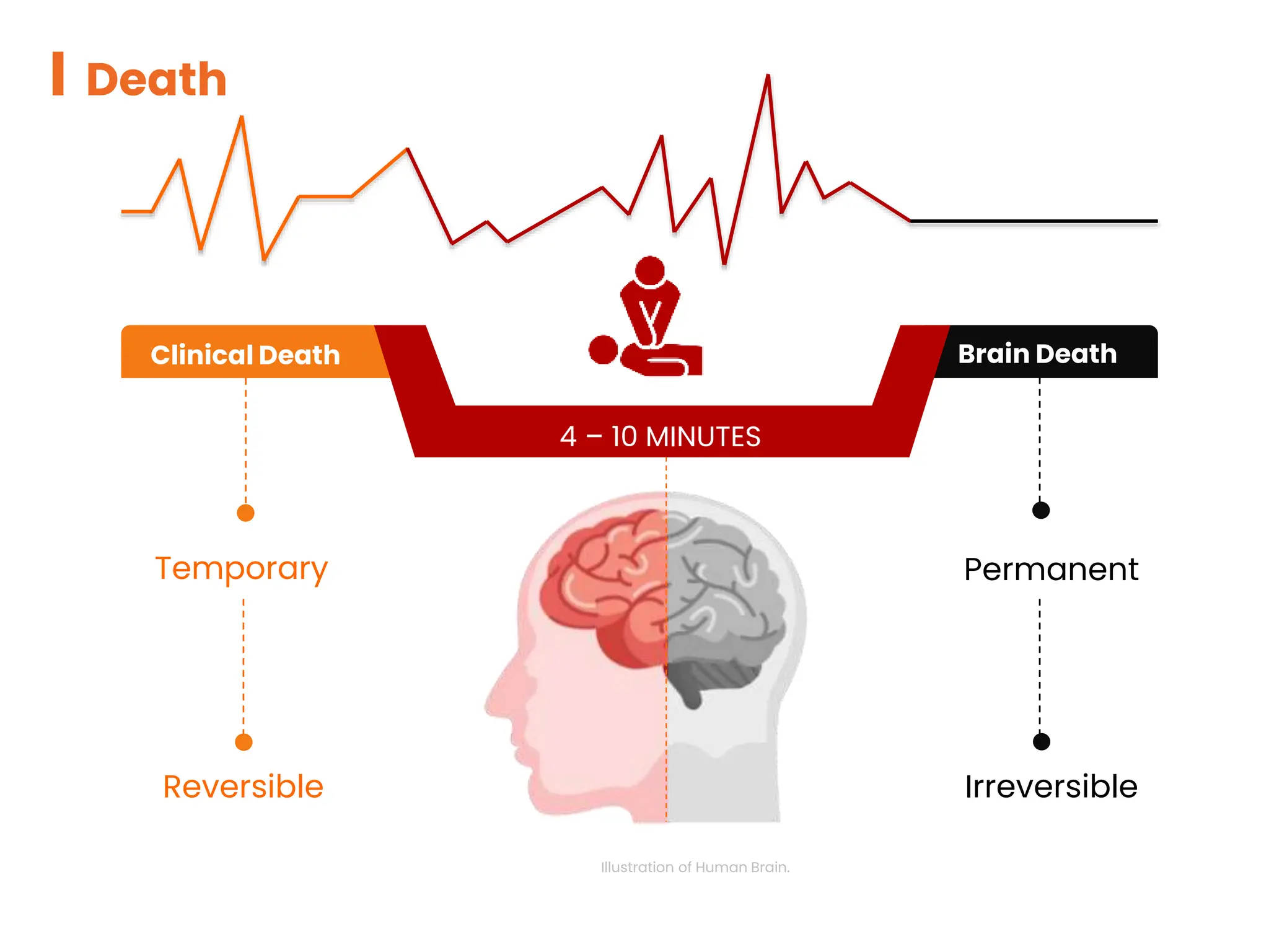 CPR life saving lecture for first aider to improve their knowledge | PPT