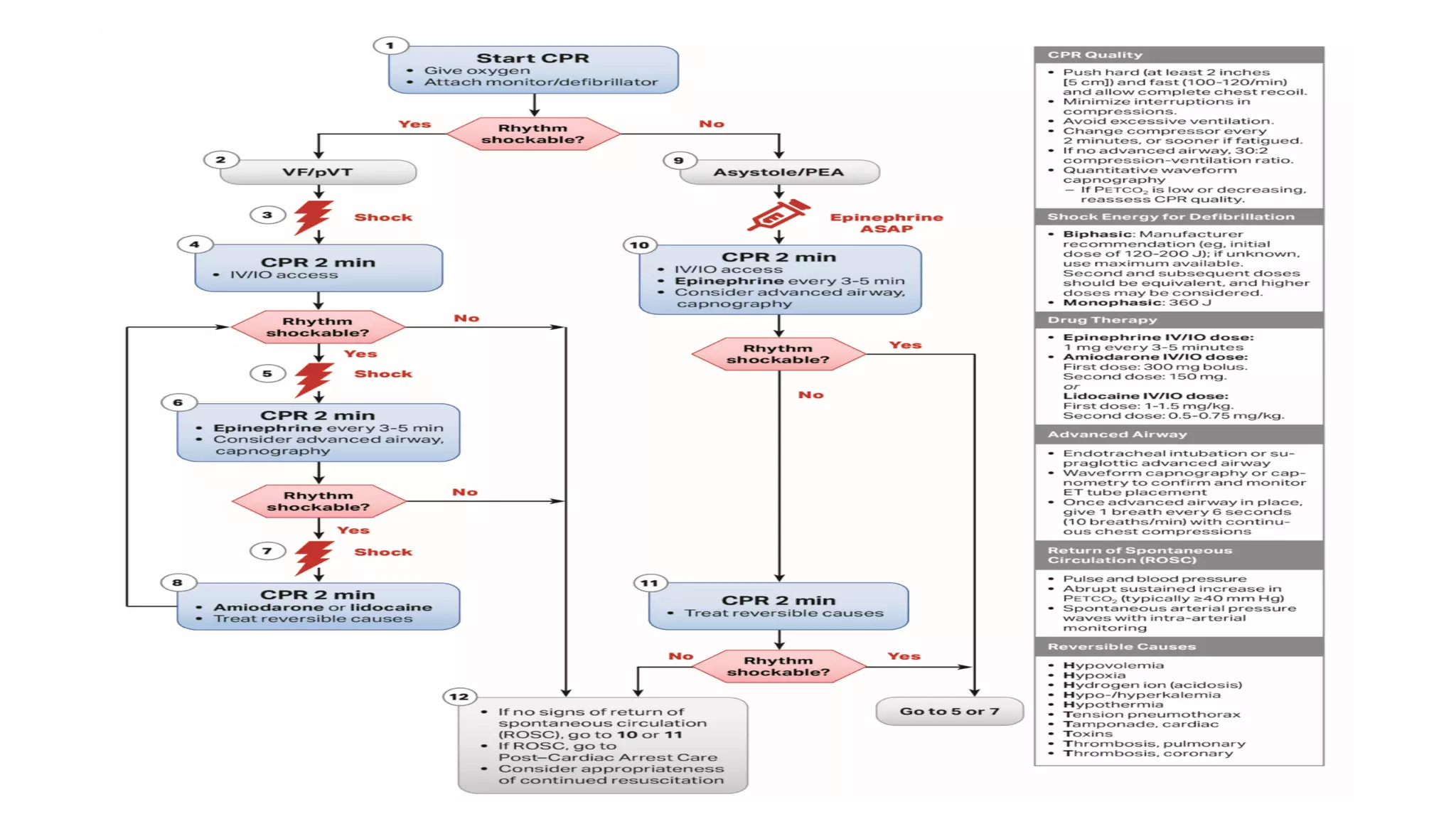 CPR 2020 GUIDELINE BY YOSRA RAZIANI | PDF | First Aid | Injuries