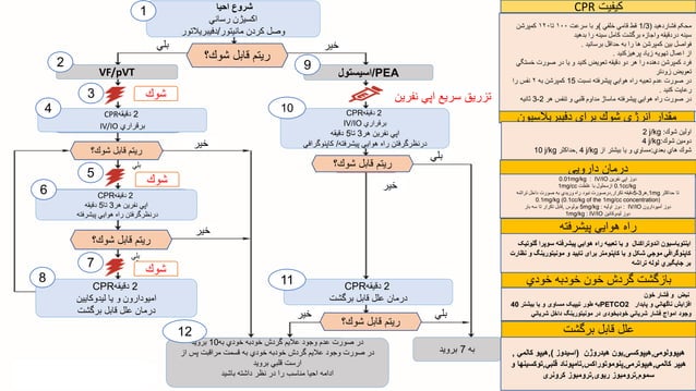 CPR 2020 GUIDELINE BY YOSRA RAZIANI | PDF | First Aid | Injuries