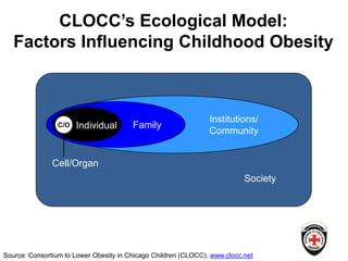 Obesity in Chicago Public Schools and Healthy CPS | PDF
