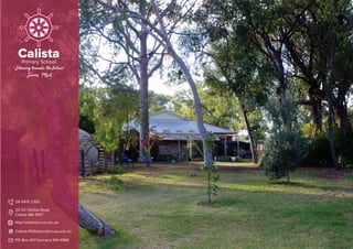 Calista Primary School Business Plan | PDF