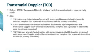 2025 CPT Updates - Professional Evaluation & Management (E/M) and ...