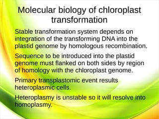 Chloroplast transformation | ODP