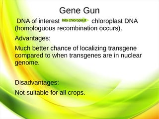 Chloroplast transformation | ODP