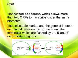 Chloroplast transformation | ODP