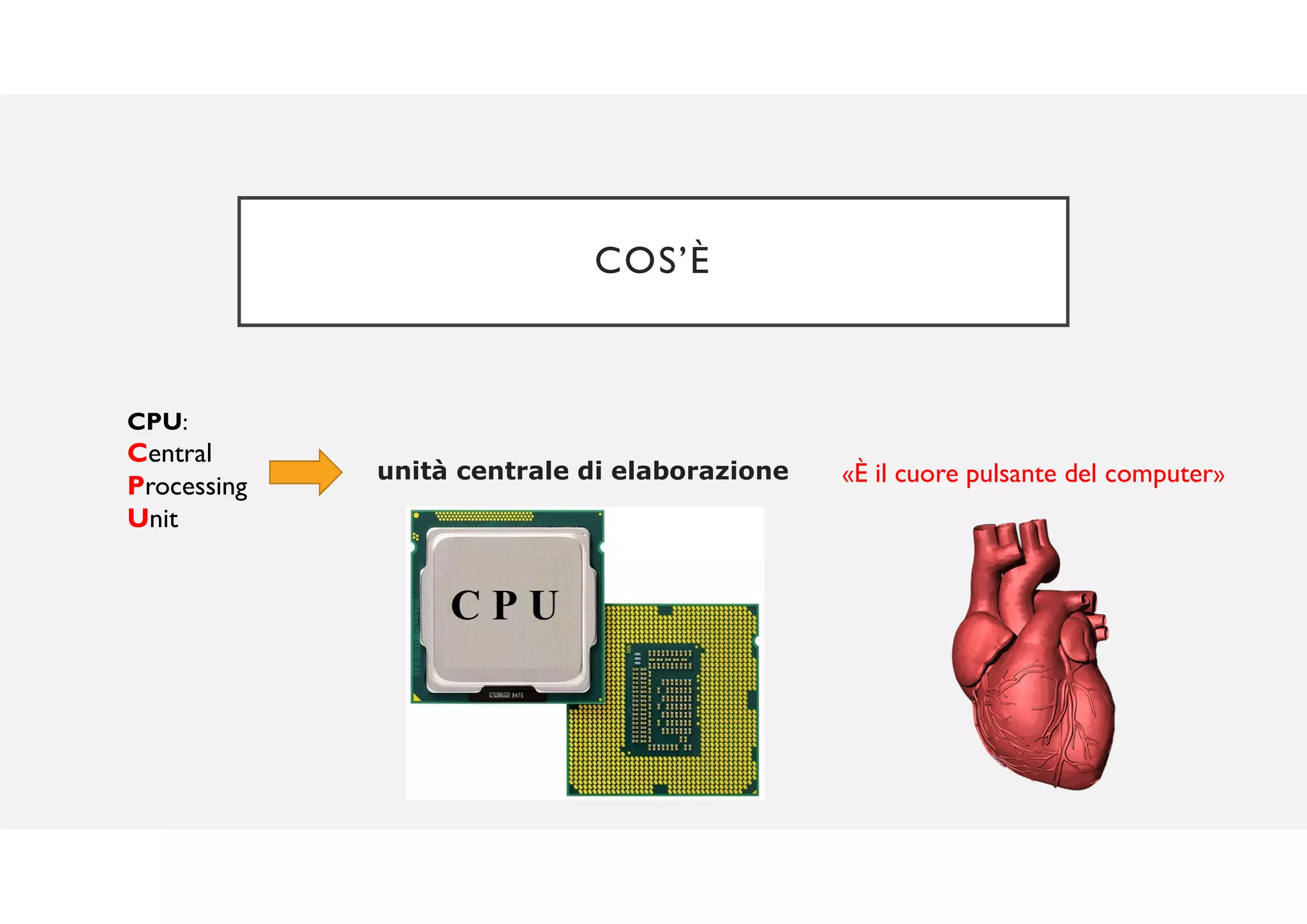 CPU - struttura e funzione | PDF