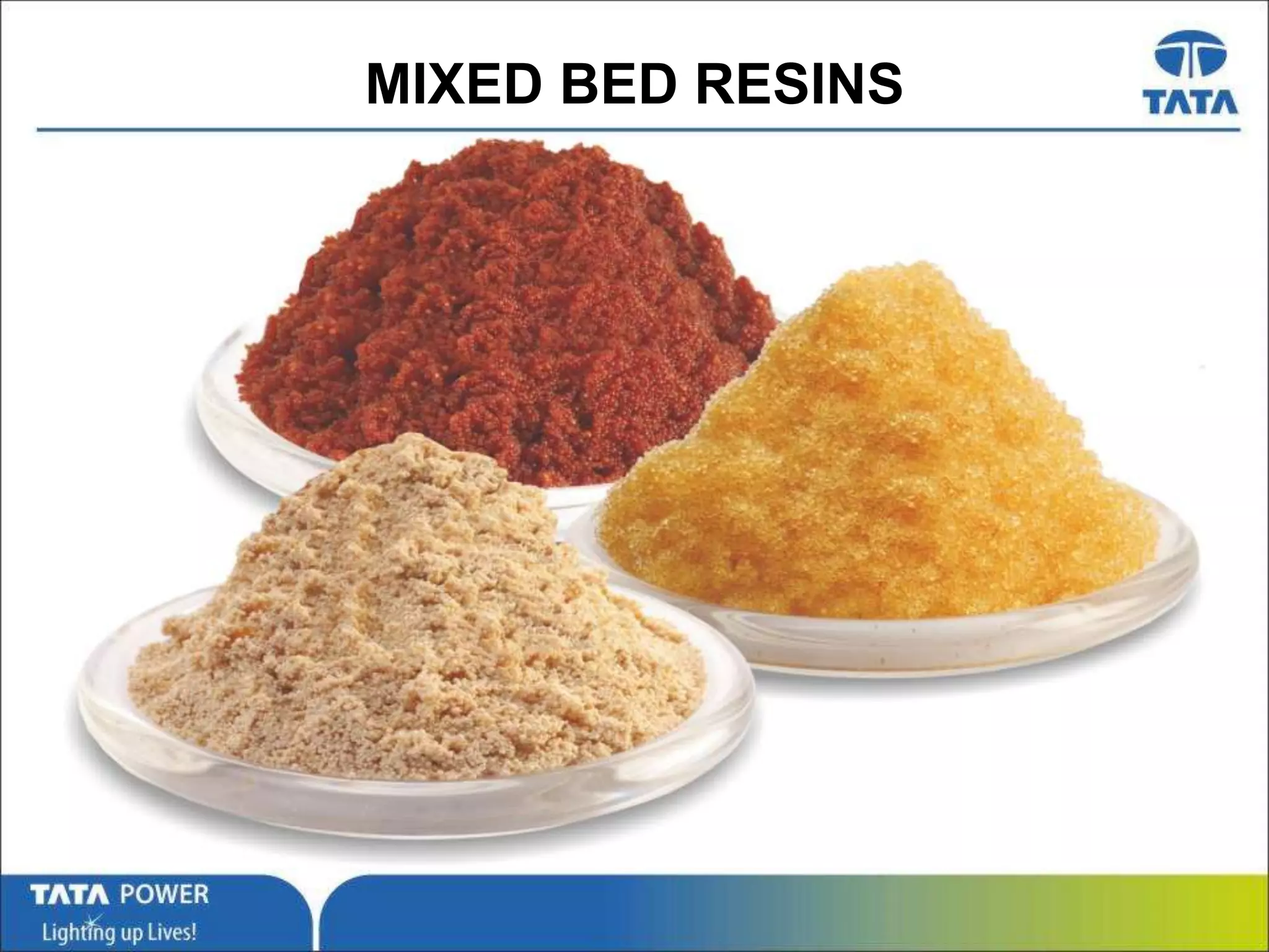 Condensate Polishing Unit - CPU | PPSX