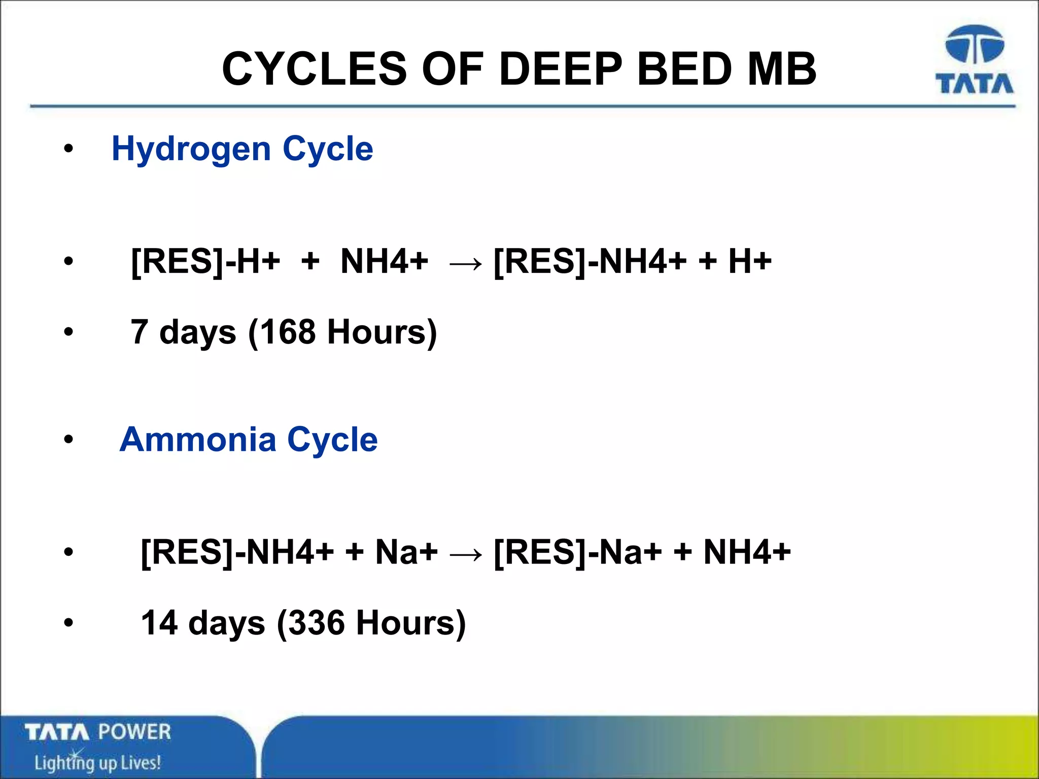 Condensate Polishing Unit - CPU | PPSX