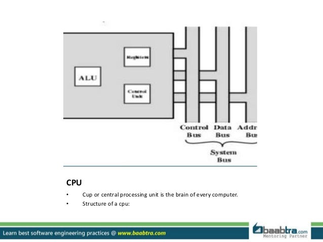 Cpu and its execution statements