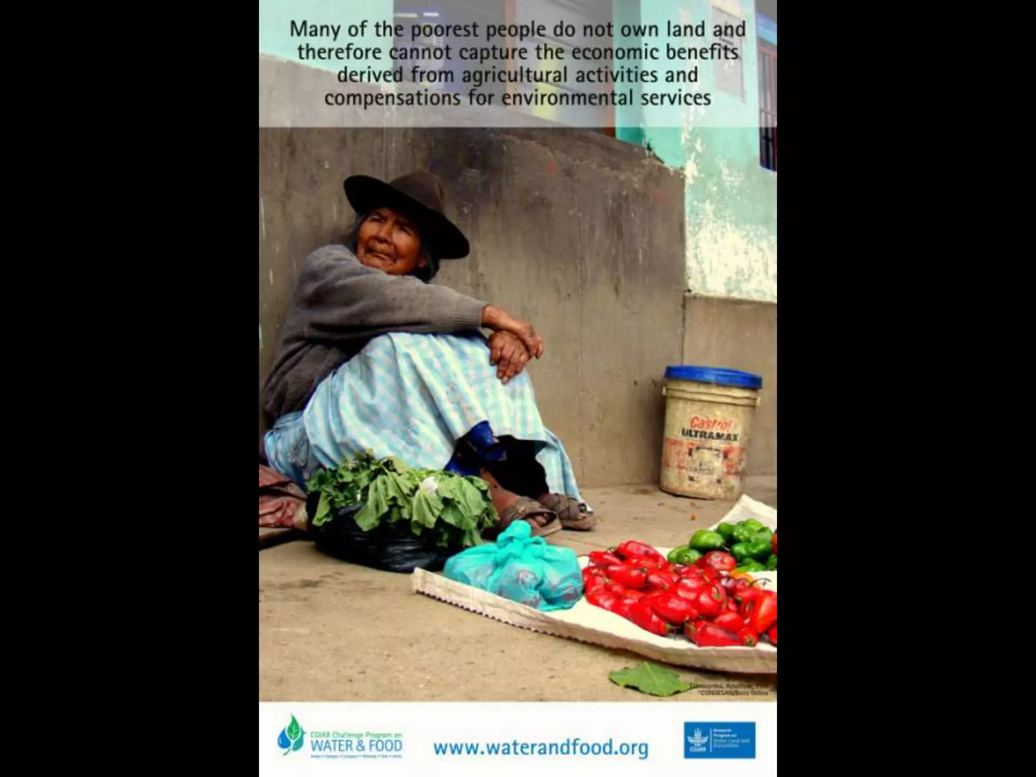 CPWF Andes Rio+20 Water & Poverty Poster Messages | PPTX