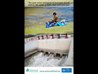 CPWF Andes Rio+20 Water & Poverty Poster Messages | PPTX