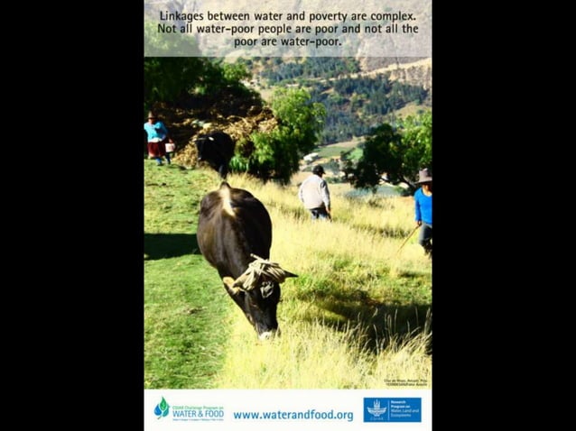 CPWF Andes Rio+20 Water & Poverty Poster Messages | PPTX