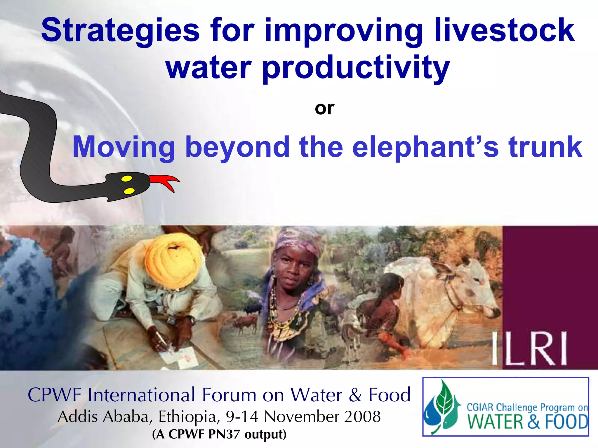 Strategies for improving livestock water productivity or moving beyond ...