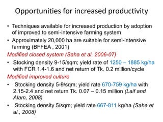 Aquaculture production systems in intertidal areas of Bangladesh: A ...