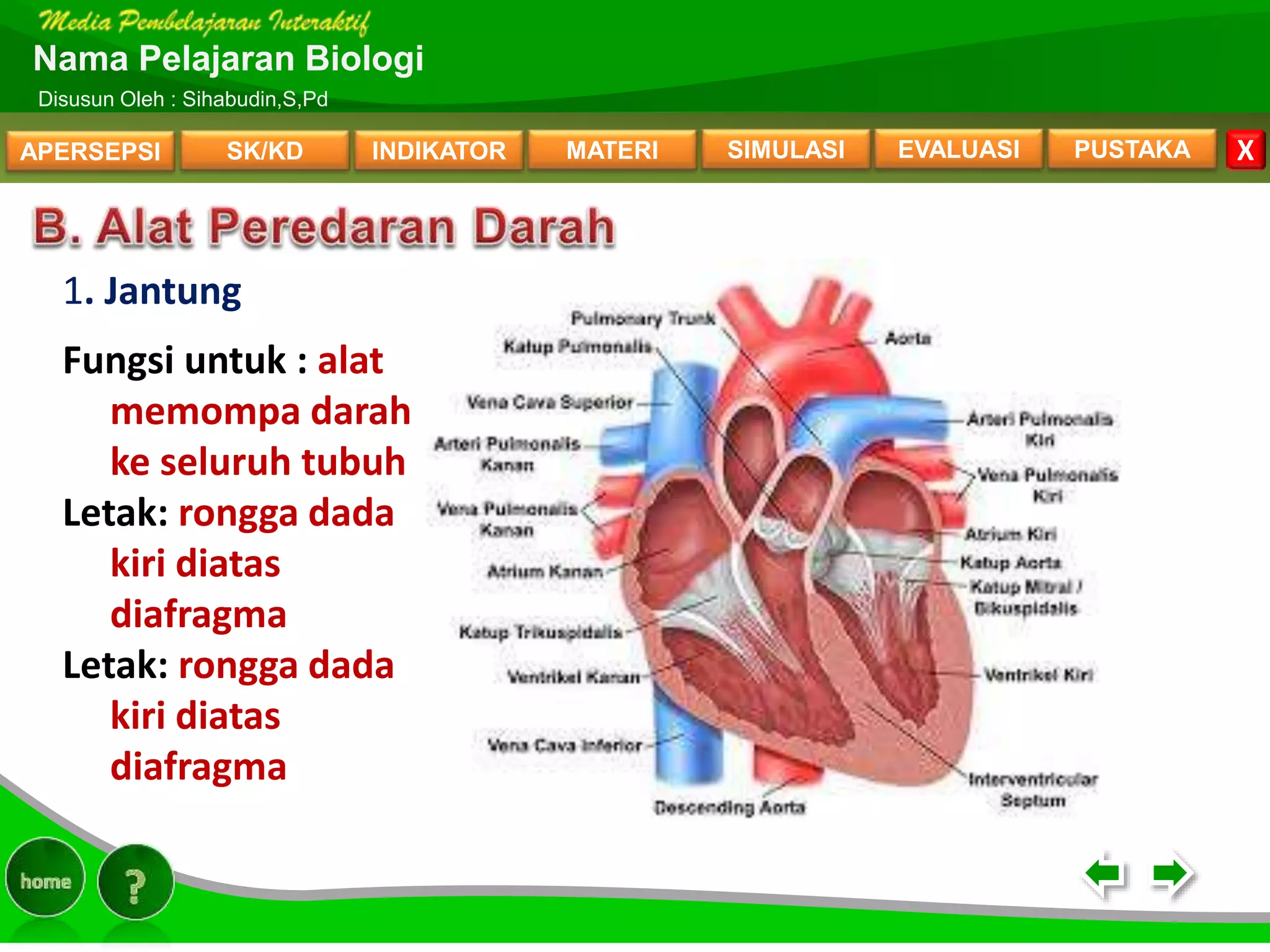 Pembelajaran Sistem Peredaran Darah SMP semester 1 | PPT
