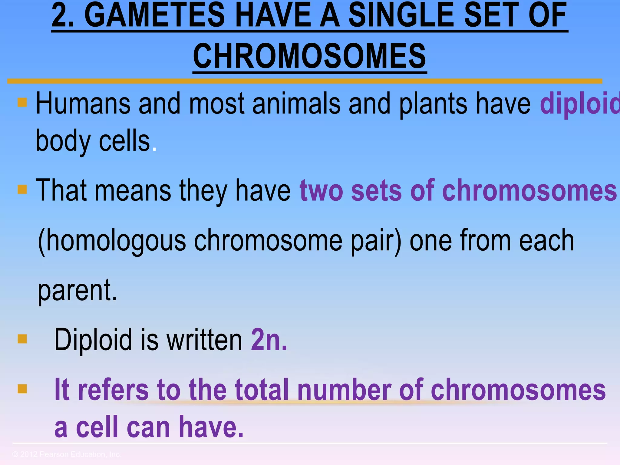 Meiosis Powerpoint Ppt