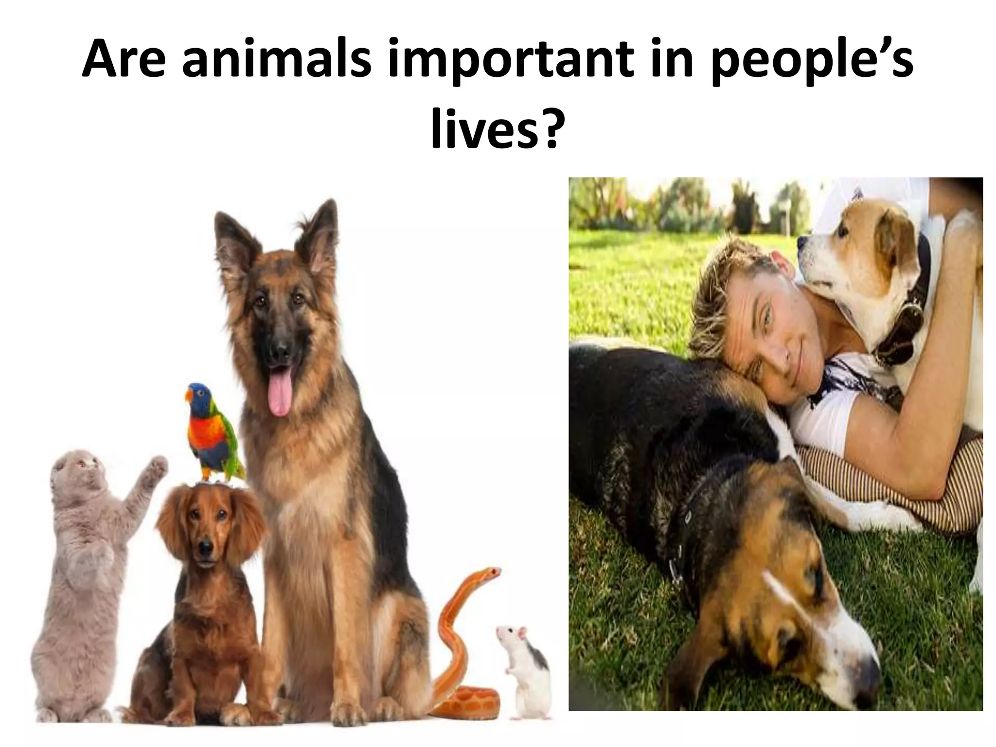 Zoo animals- ESL | PPTX