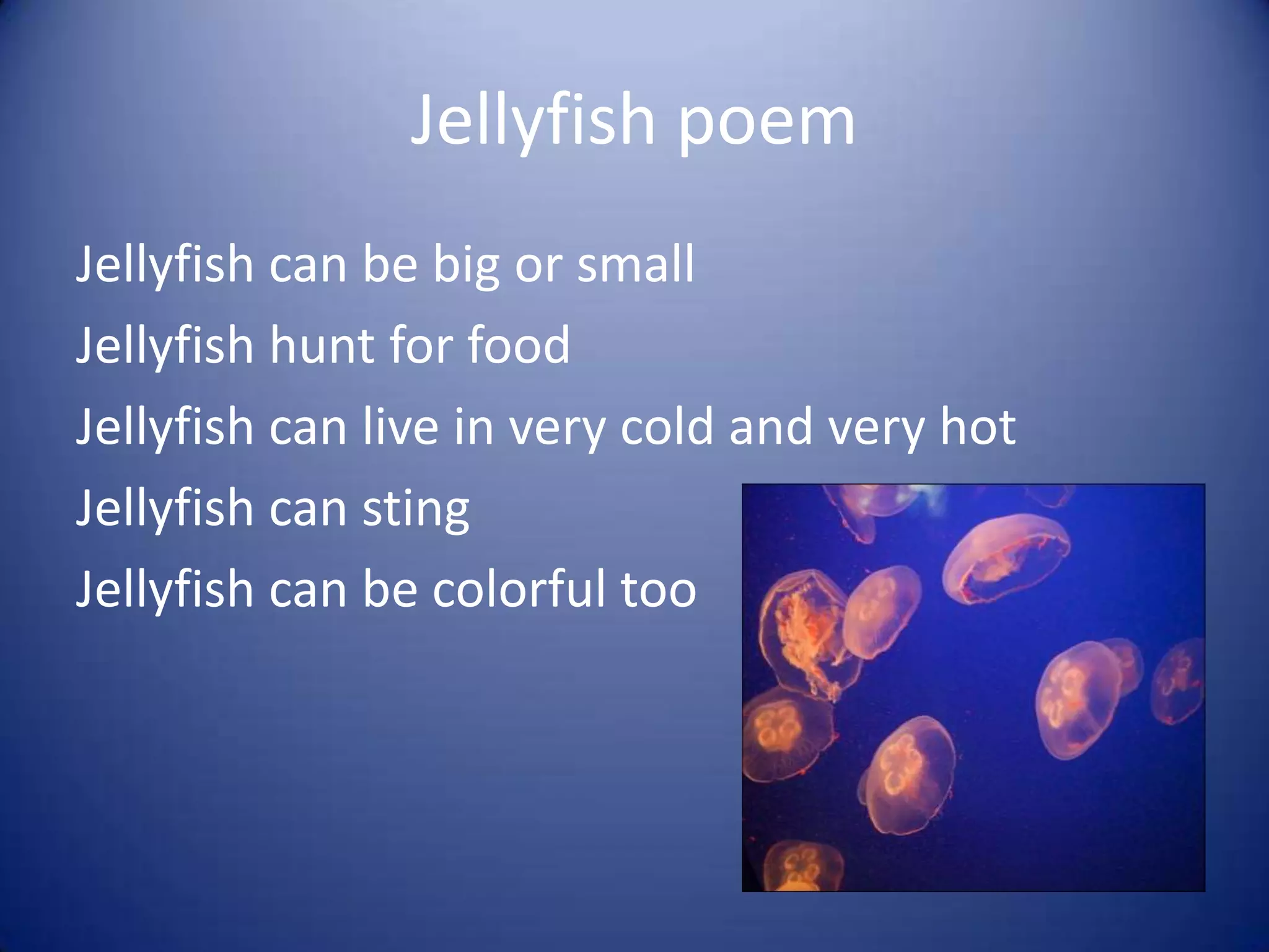 Jellyfish | PPTX