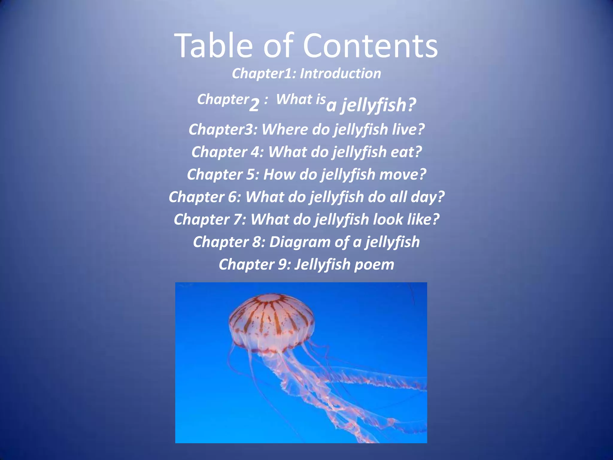 Jellyfish | PPTX