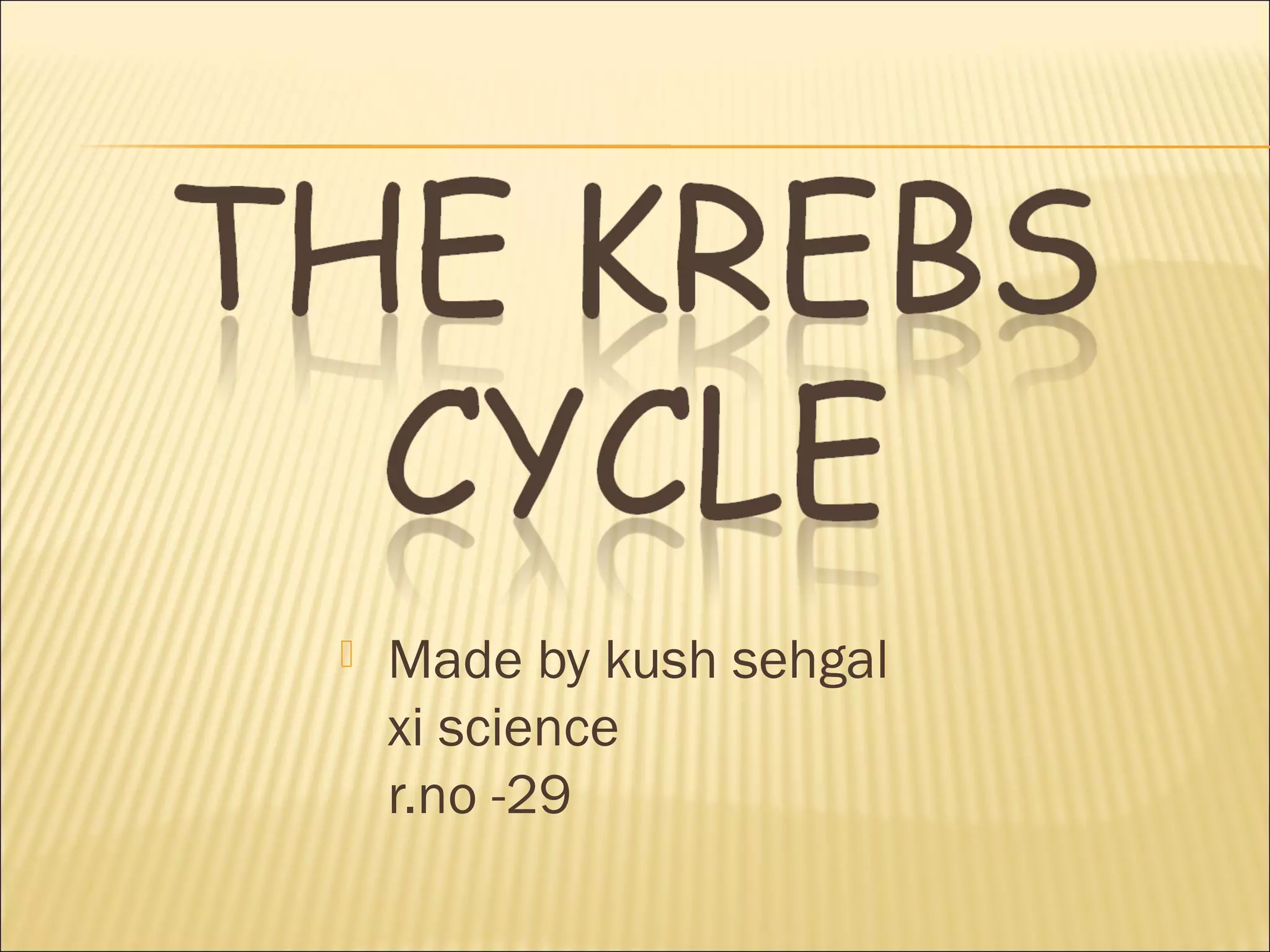 'The kreb's cycle' - class 11 cbse | PPT