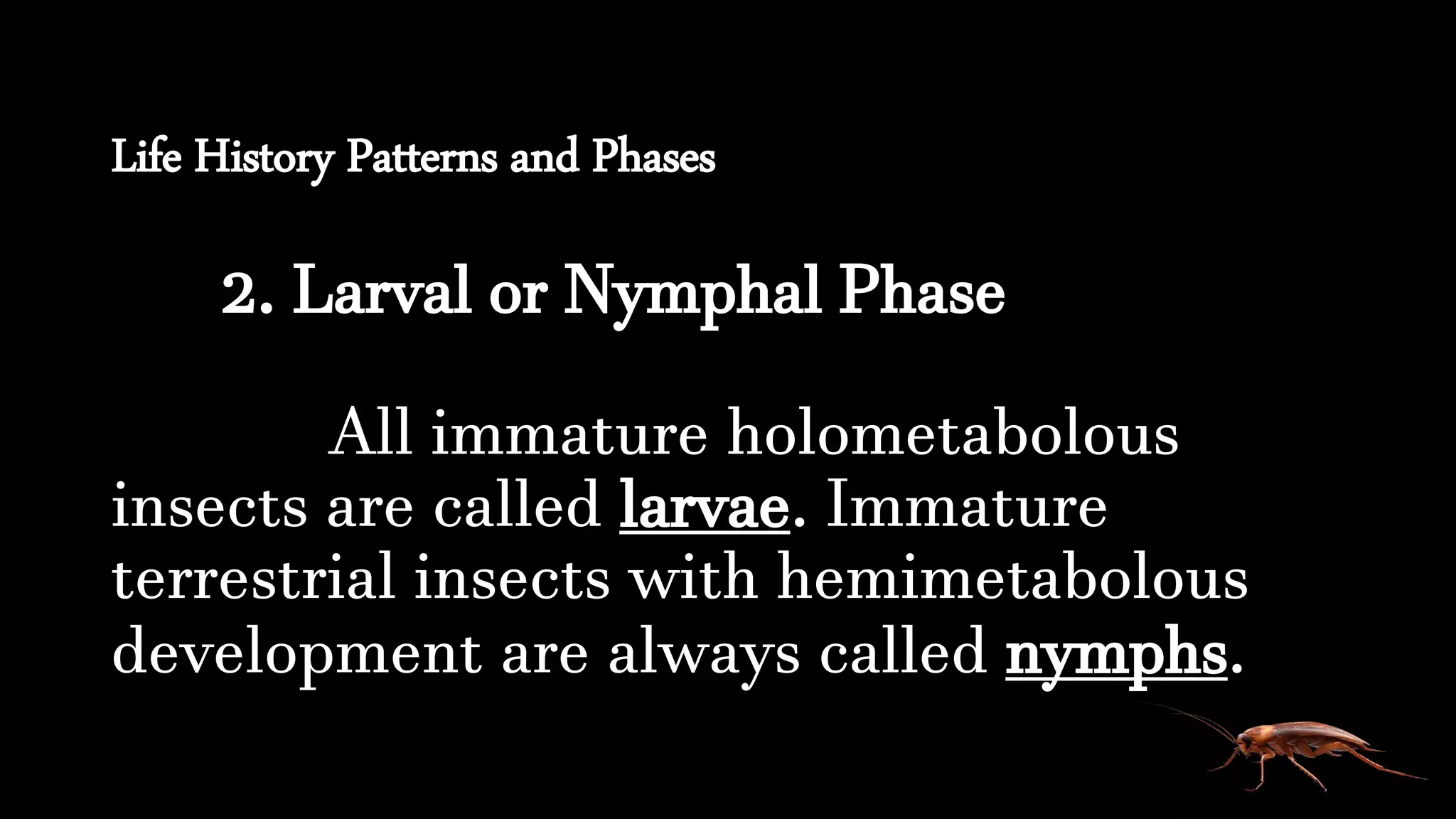 Chapter VI – Insect Development and Life Histories | PPTX