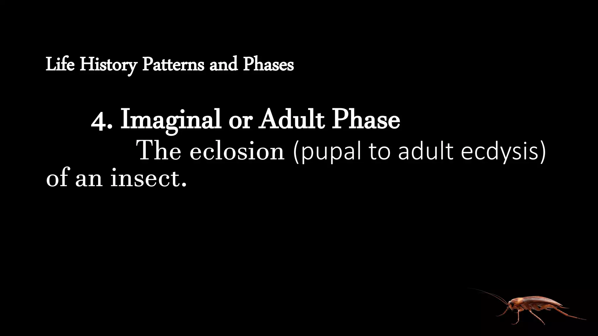 Chapter VI – Insect Development and Life Histories | PPTX
