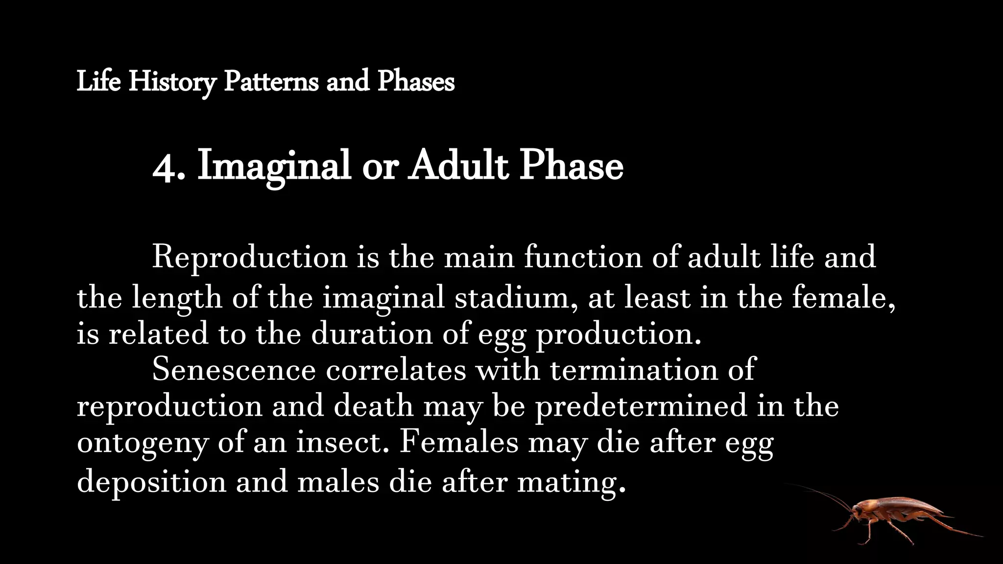 Chapter VI – Insect Development and Life Histories | PPTX