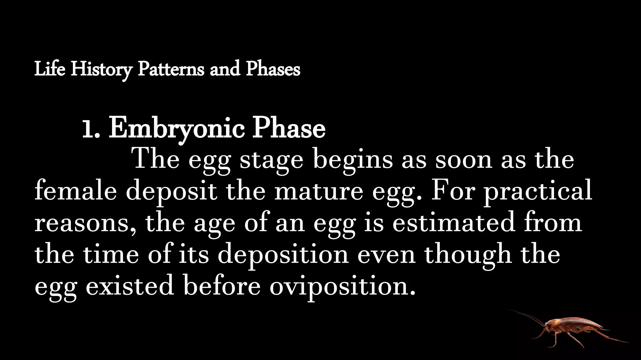 Chapter VI – Insect Development and Life Histories | PPTX