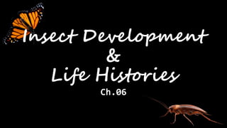 Chapter VI – Insect Development and Life Histories | PPTX
