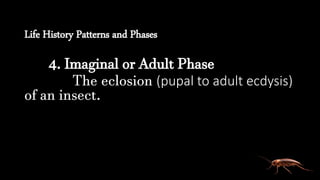 Chapter VI – Insect Development and Life Histories | PPTX