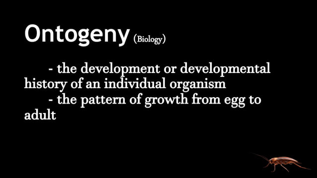 Chapter VI – Insect Development and Life Histories | PPTX