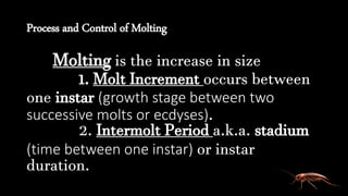 Chapter VI – Insect Development and Life Histories | PPTX