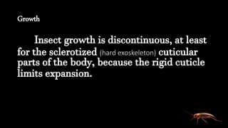 Chapter VI – Insect Development and Life Histories | PPTX