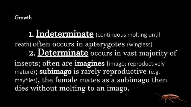 Chapter VI – Insect Development and Life Histories | PPTX