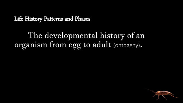 Chapter VI – Insect Development and Life Histories | PPTX
