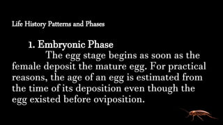 Chapter VI – Insect Development and Life Histories | PPTX