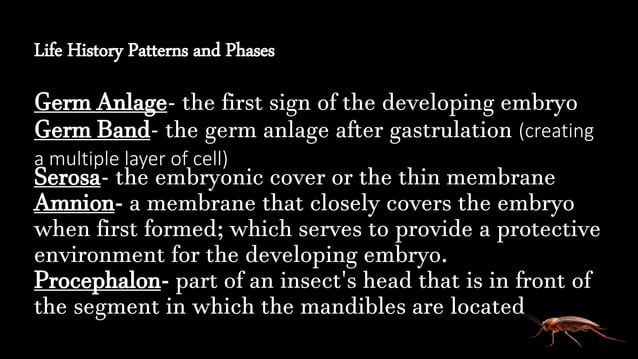 Chapter VI – Insect Development and Life Histories | PPTX