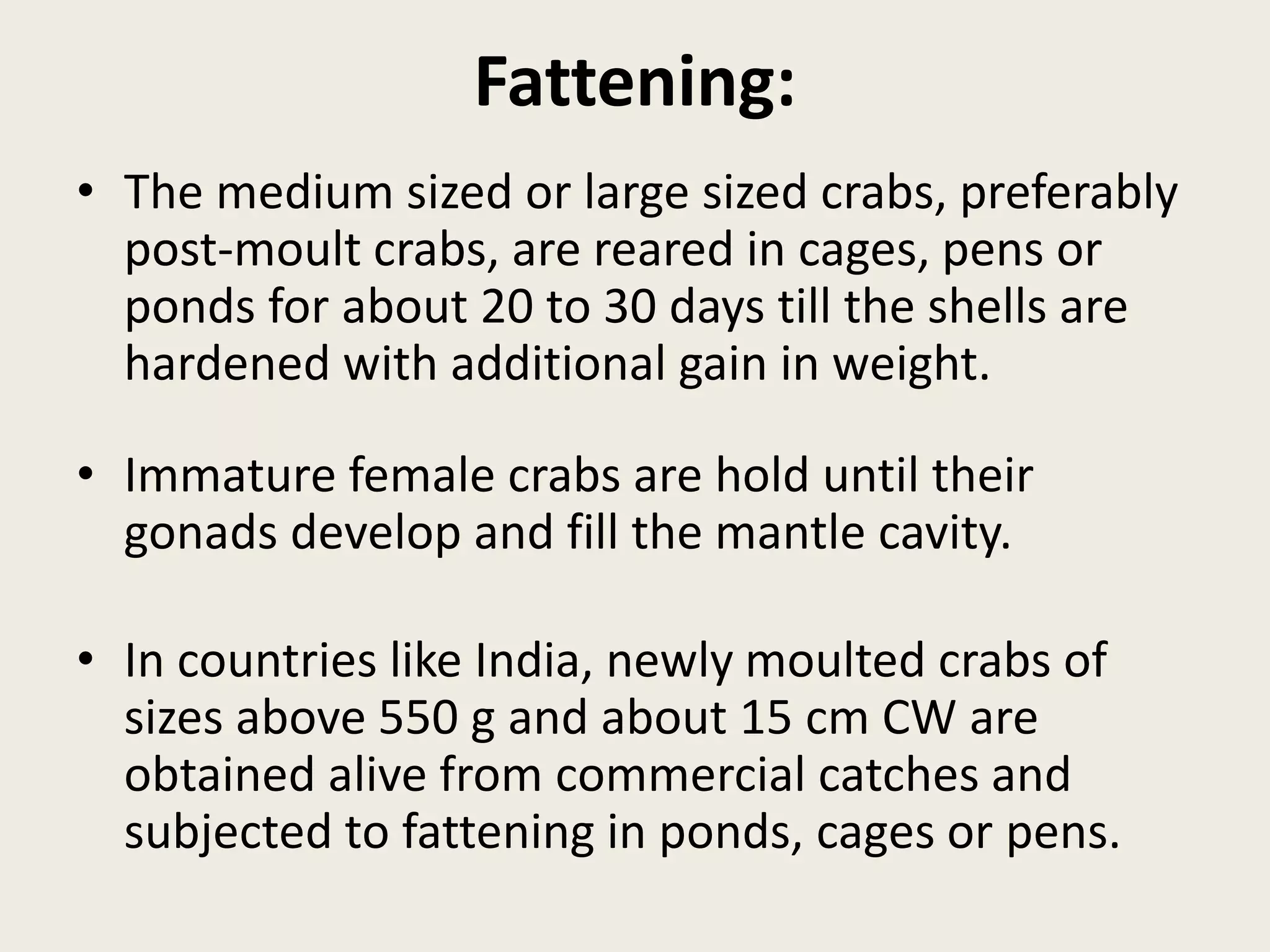Crab-and-Lobster-Culture.pptxjxjxjxjxj | PPTX