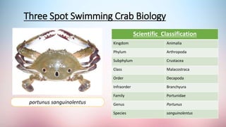 Crab Biology.pptx