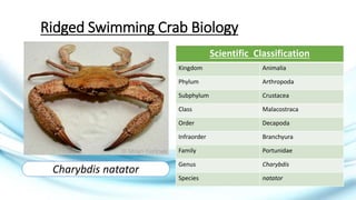 Crab Biology.pptx