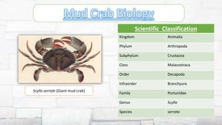 Crab Biology.pptx